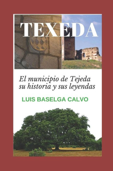 Texeda : El Municipio De Tejeda Su Historia Y Sus Leyendas - Luis ...